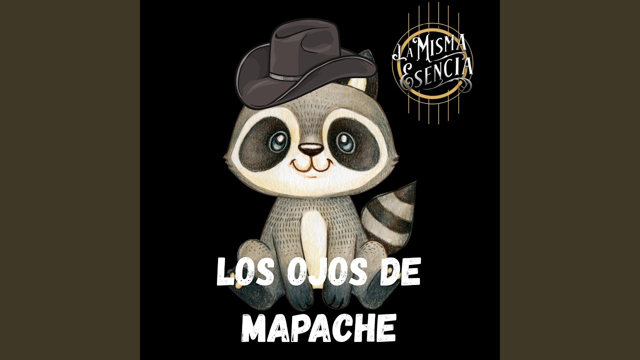 LOS OJOS DE MAPACHE (En vivo) - YouTube