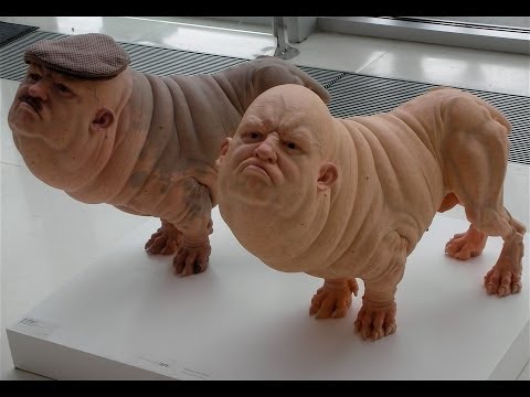 वैज्ञानिक द्वारा बनाए गए सबसे अजिब हाइब्रिड जानवर | Top Hybrid Animals ...