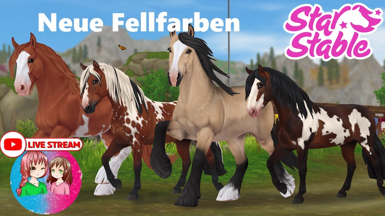 Live🔴 SSO ☆ Server 5 - Cloudy Rock ☆ Neue Fellfarben & das ...