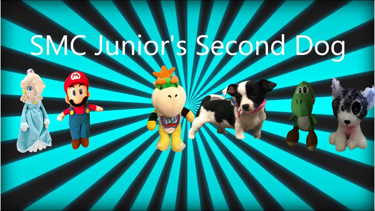 SMC Junior's Second Dog - YouTube