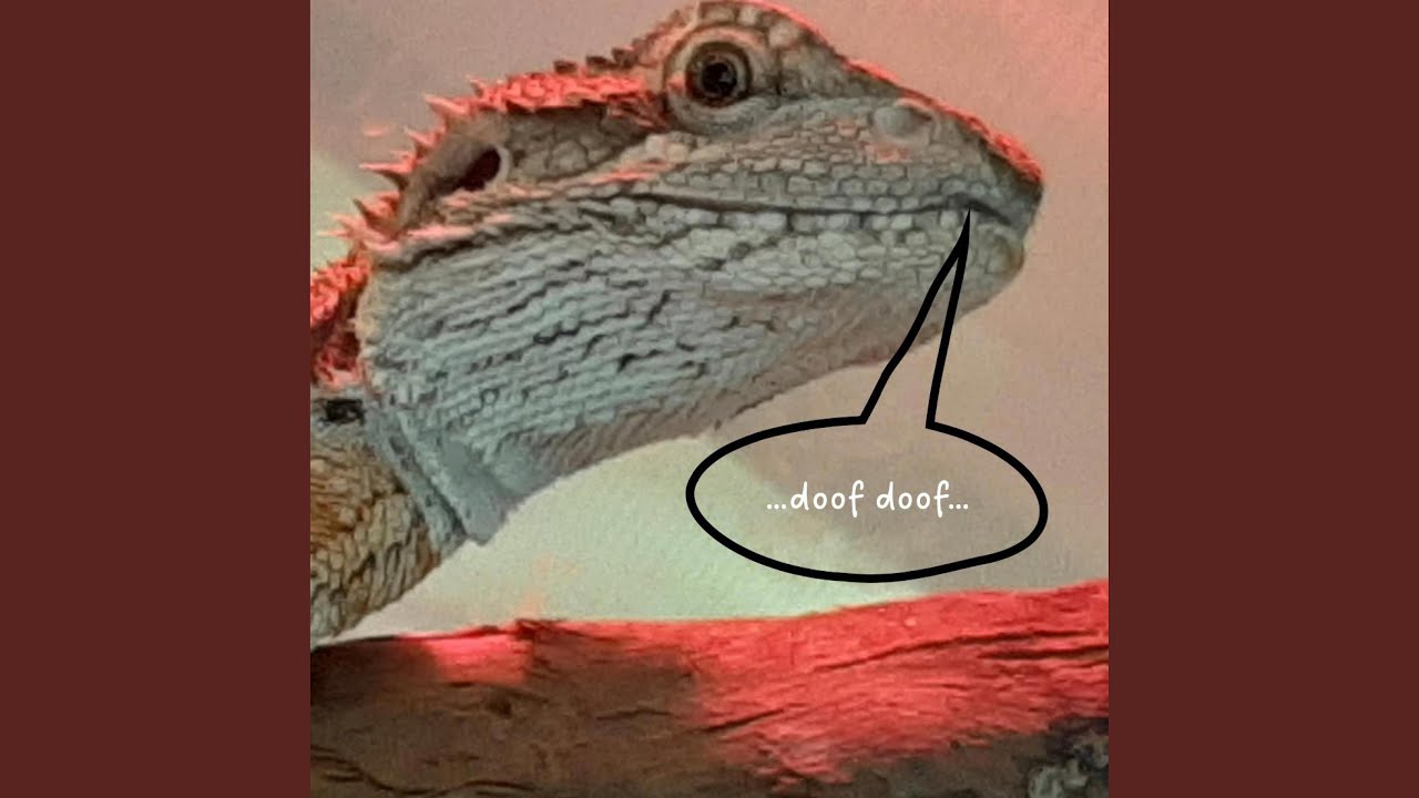 Eric Can Dance - Andrew S Horn: Song Lyrics, Music Videos & Concerts