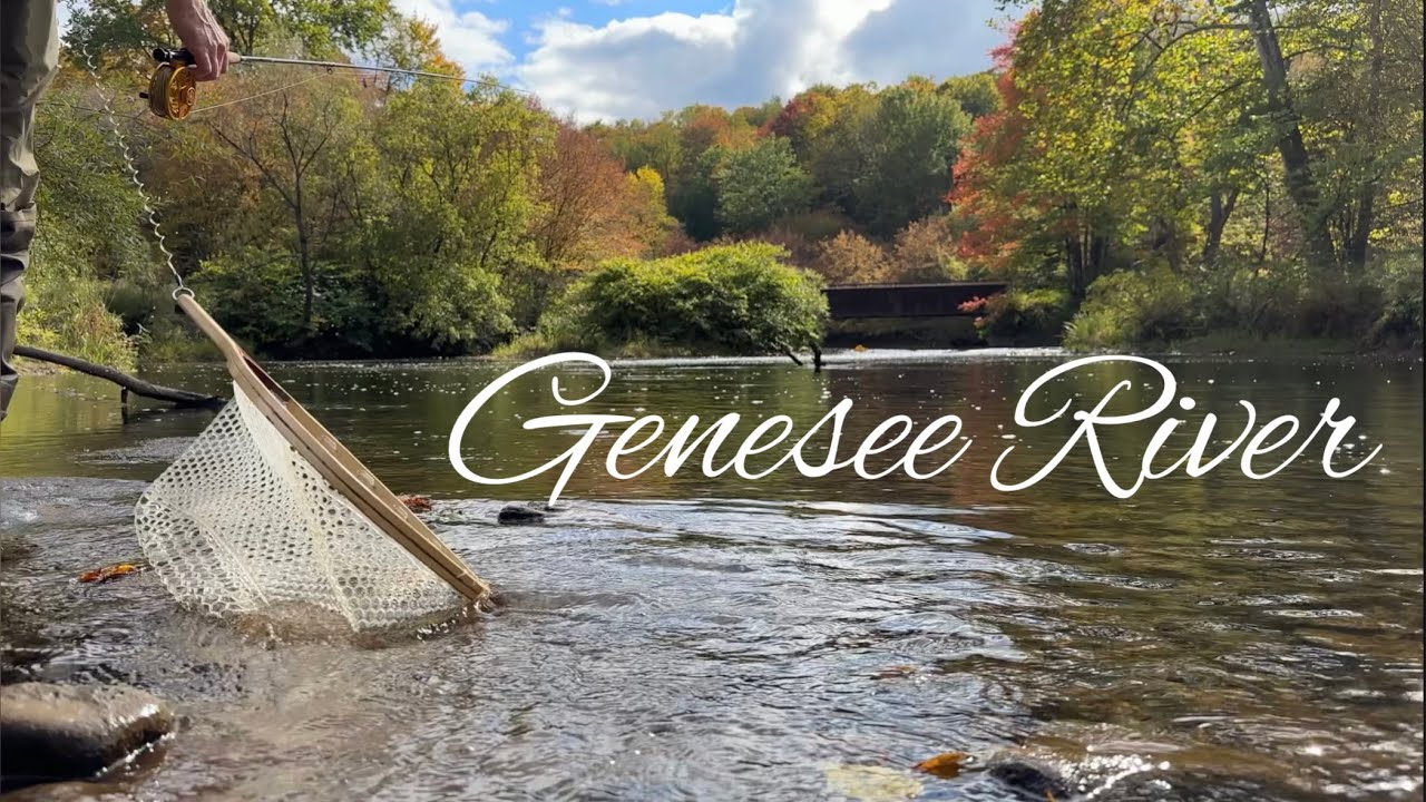 Genesee River| Fly fishing for Brown and Rainbow Trout - YouTube