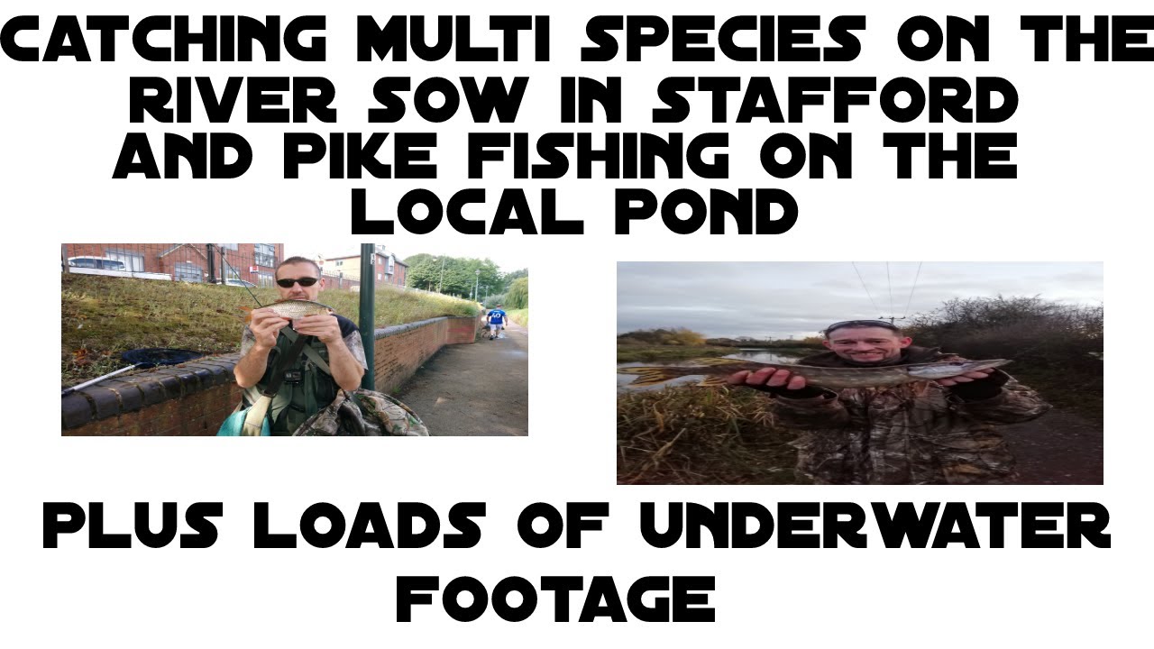 STICK FLOAT fishing on the river sow #fishing #underwater #floating #uk ...