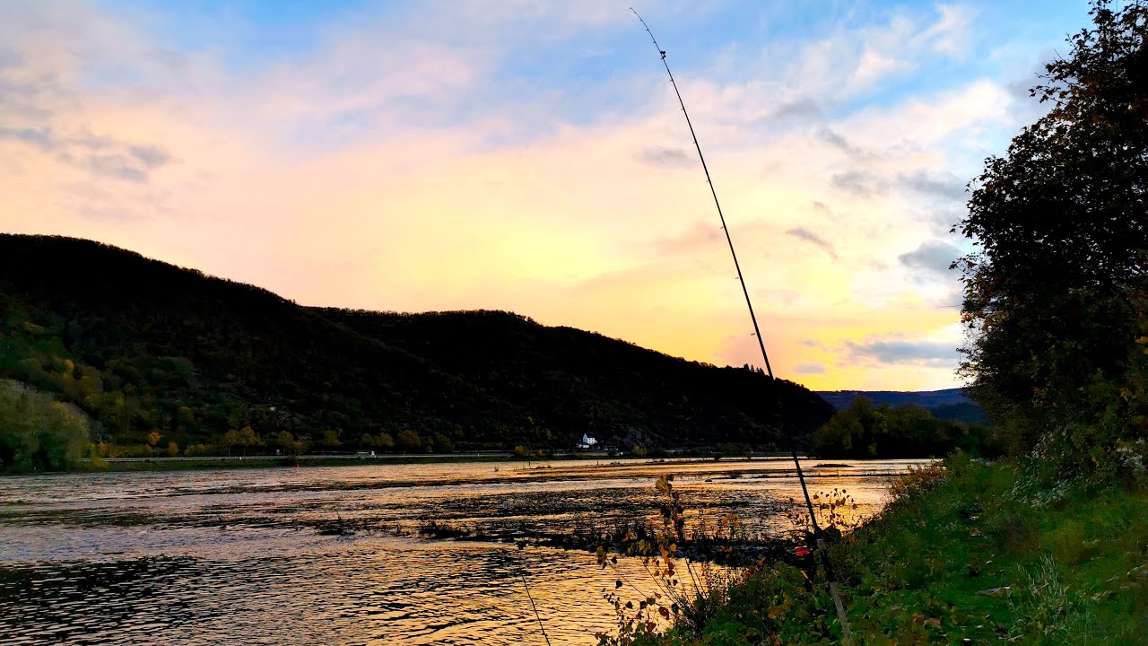 Angeln am Rhein auf Zander und Friedfisch bei Regen und Hochwasser ...