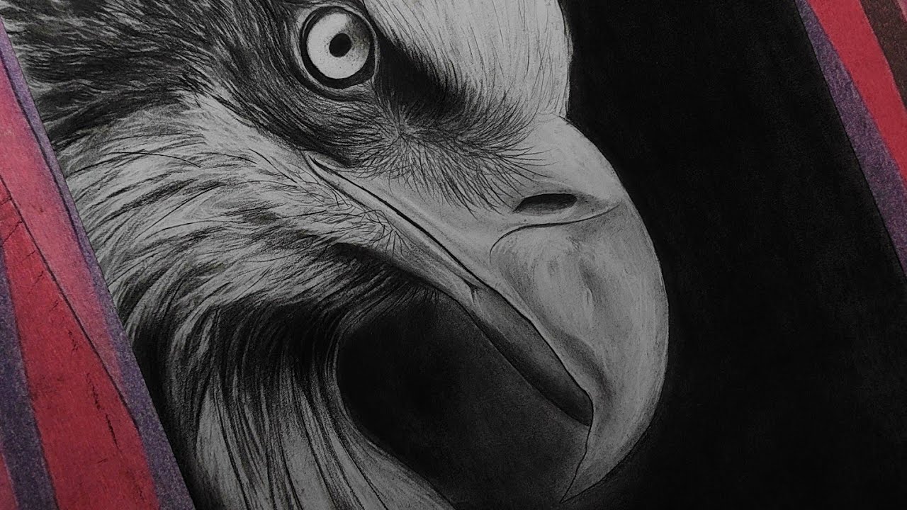 Mighty Eagle drawing step by step sketch tutorial with charcoal ...