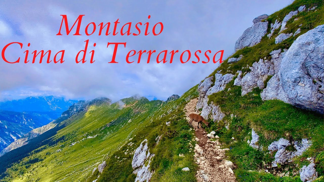 Una mattina sul Montasio, CIMA DI TERRAROSSA in due minuti ⛰🐐(Vertical ...