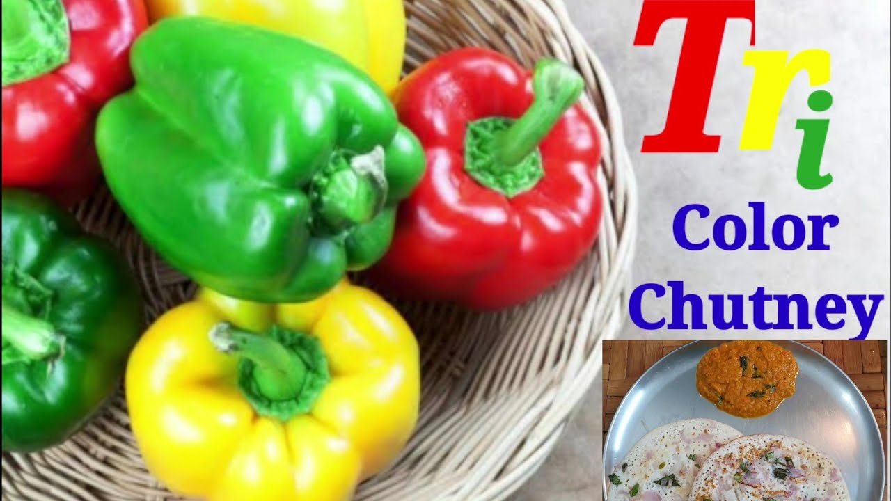 Recipe # 108 : TRI Color Chutney - YouTube