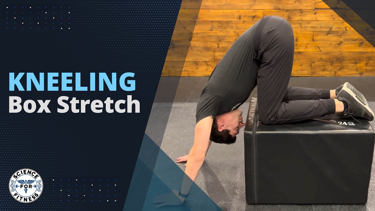 Kneeling Box Stretch - YouTube