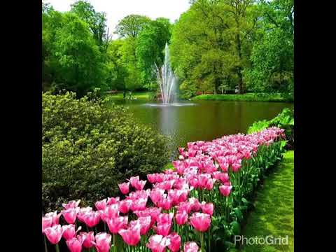 4 mai 2018