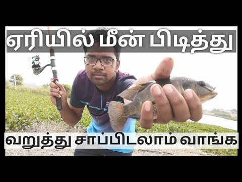 Tilapia Fishing and Cooking (Tamil) | Hunting Hobby Fishing Rod ...