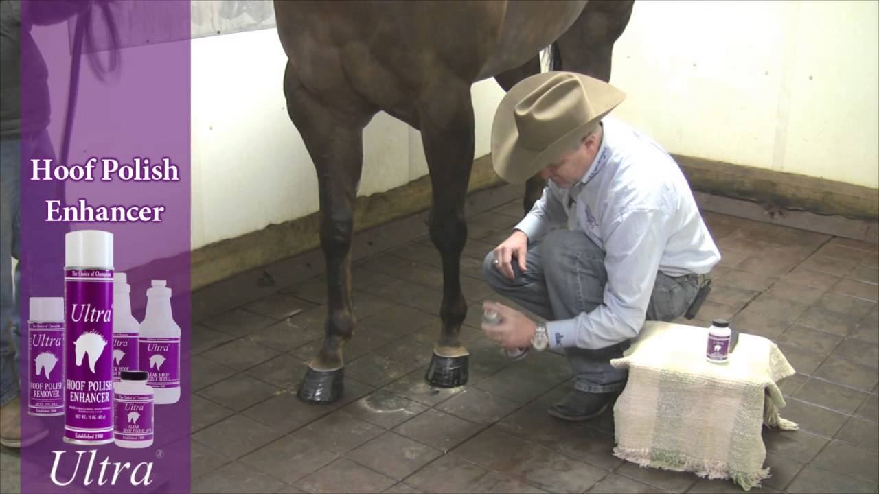 Trainer's Tips - Ultra Hoof Polish with Randy Jacobs - YouTube