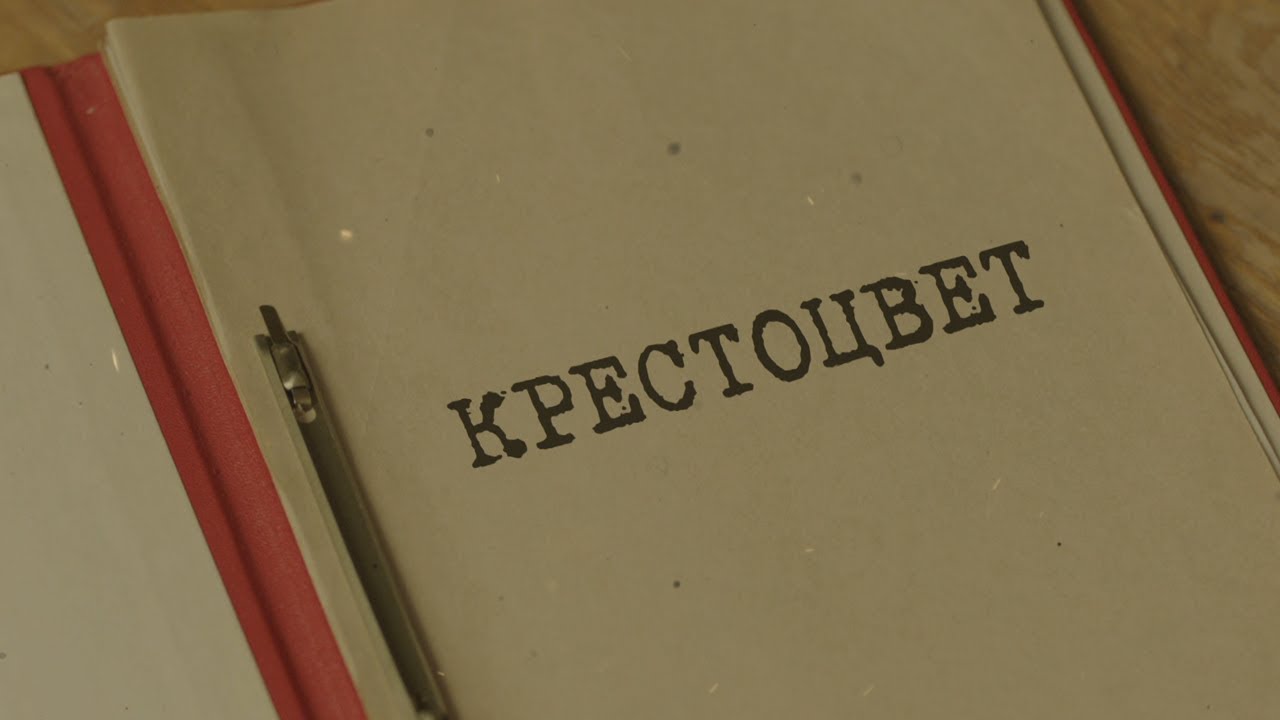 Крестоцвет | Вещдок. Особый случай. По ту сторону фронта - YouTube