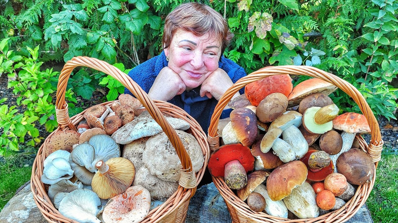 Hríby Huby Houby | 20.10.2022 | úžasné JESENNÉ farebné KOŠÍKY plné HÚB ...