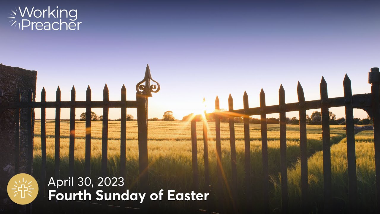 Sermon Brainwave 901: Fourth Sunday of Easter - April 30, 2023 - YouTube