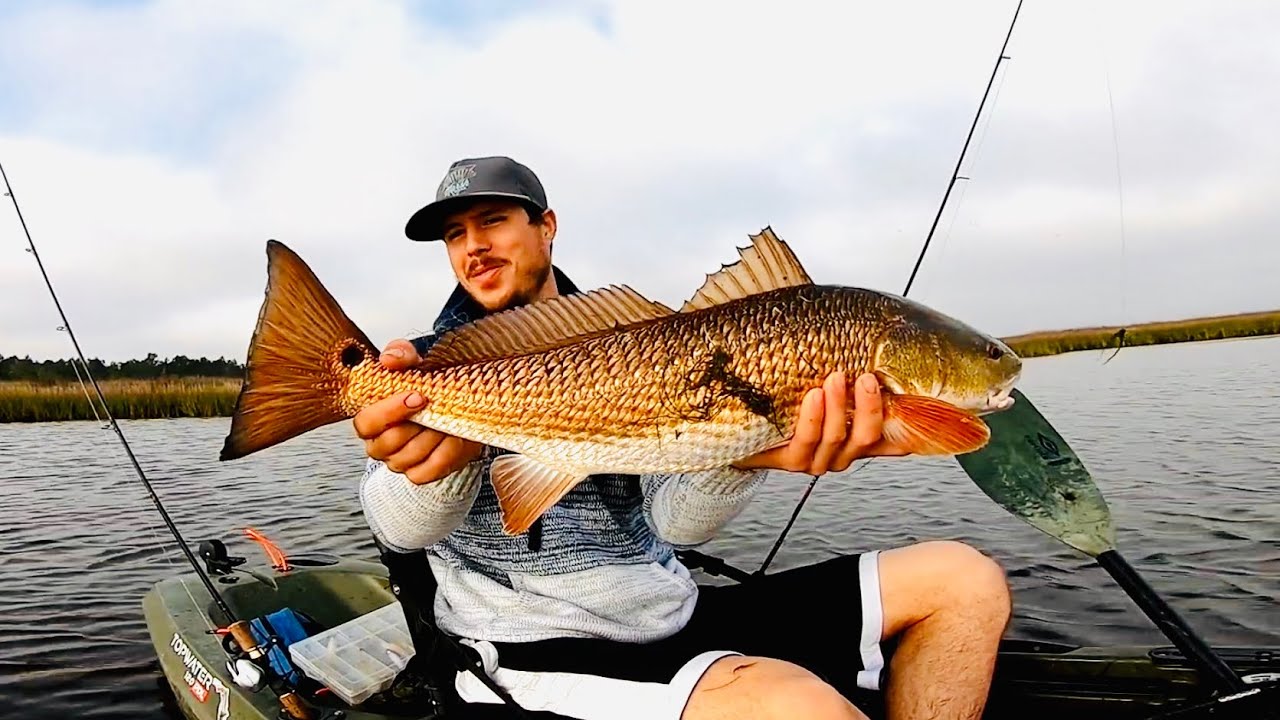 FLORIDA SALTWATER MARSH FISHING - SIGHT CASTING BIG TAILING REDFISH IN ...