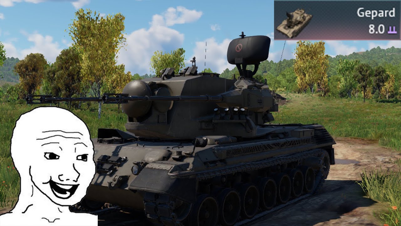 The Gepard life story - YouTube