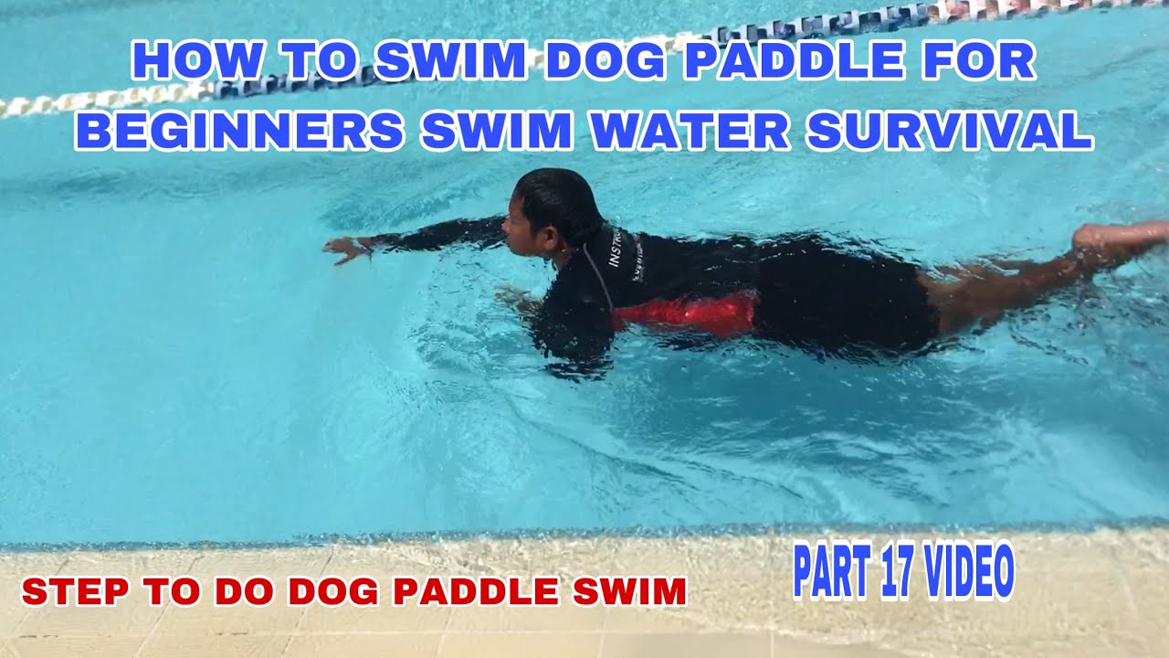How to Swim Dog Paddle for Beginners Swim Water Survival Skills ...