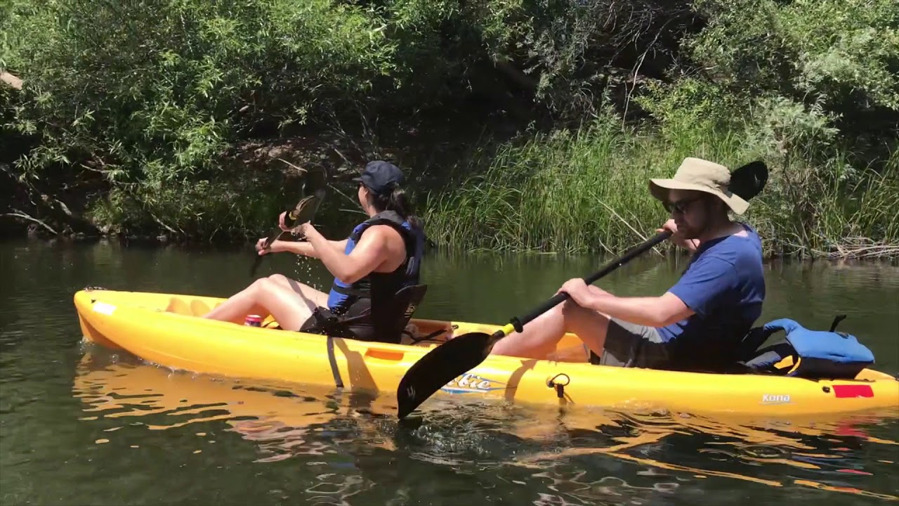 Russian River Kayak Tour - YouTube