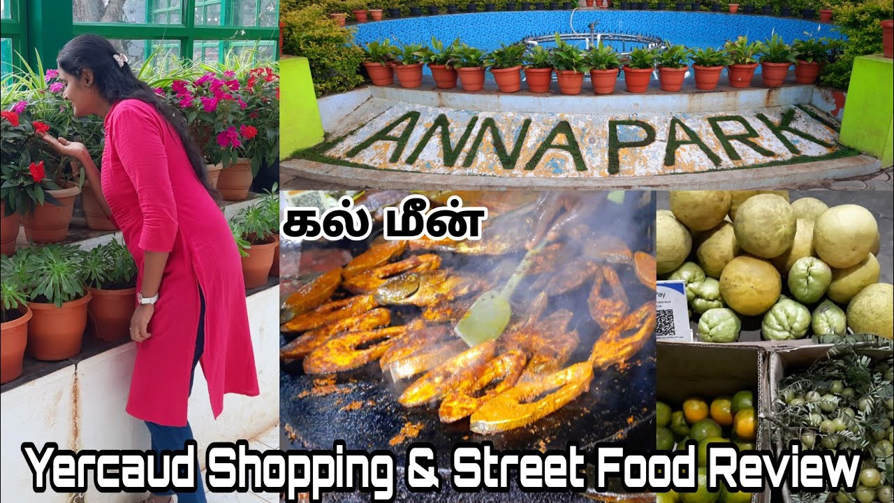 Anna Park vlog|Yercaud Food Street Review |Yercaud Shopping|கல் மீன் ...
