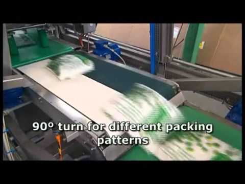 CPS Case Packing Systems - CP 201 - YouTube