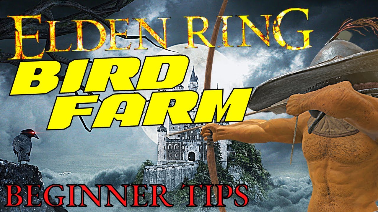 Bird Farm Patch 1.08 | Best Weapon and Magic | Elden Ring - YouTube