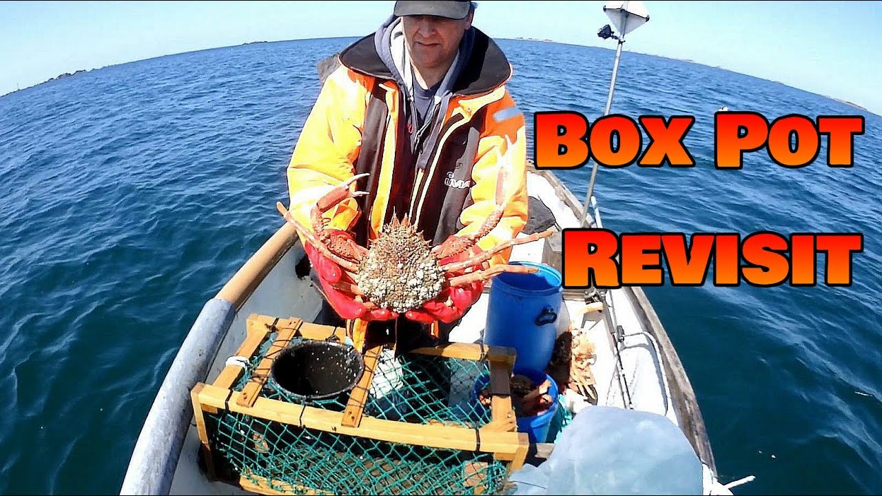 Wooden Box Pot Revisited - What Did It Catch - YouTube
