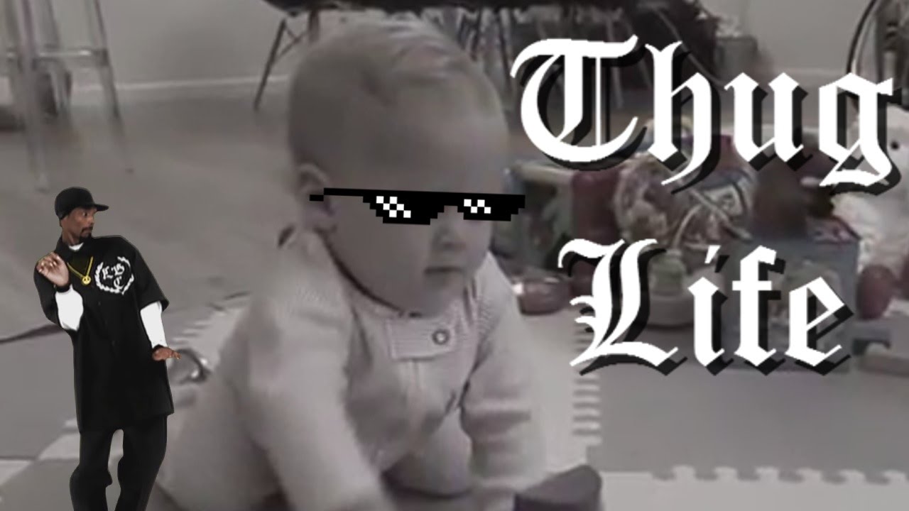 🔵 Thug Life Kids and Animals | Thug Life Crianças e Animais #4 - YouTube
