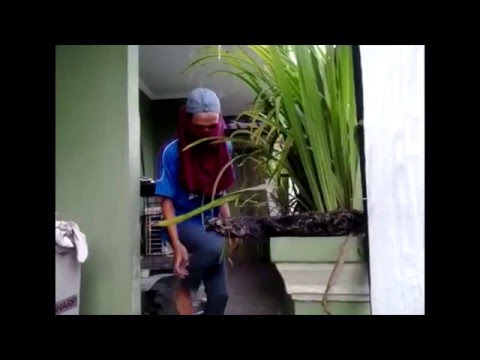 maling ketangkep