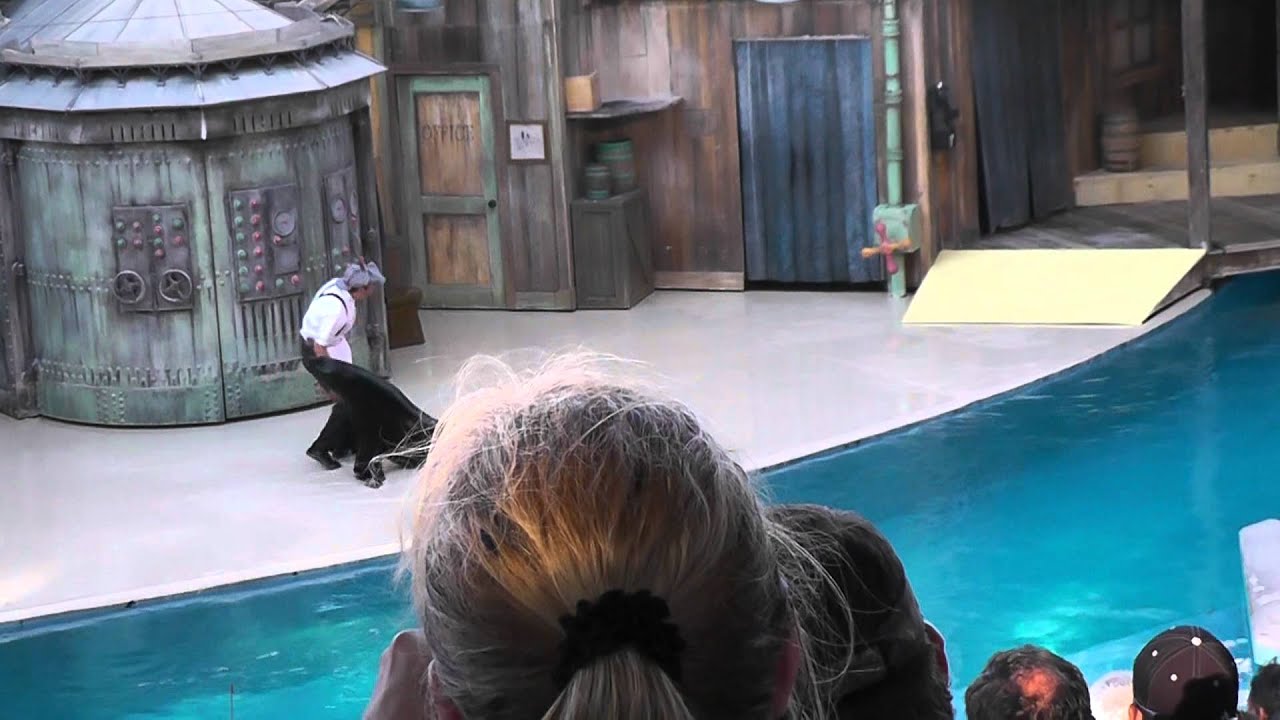 Sea World San Antonio -- Sea Lion Show - YouTube