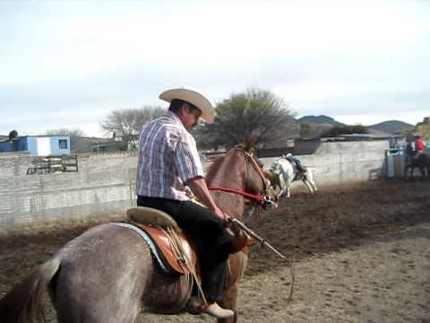 Coleadera en El Valle Florido, Durango. - YouTube