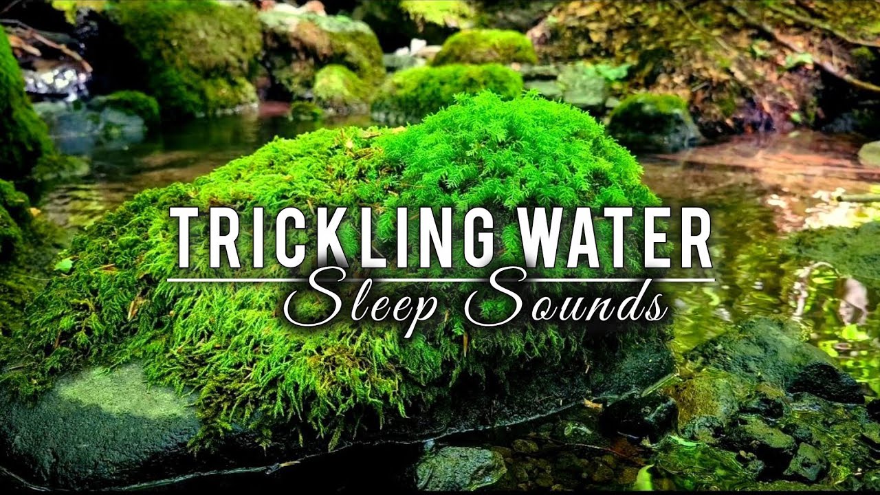 Trickling Water Sounds (2 Hours) | White Noise for Sleep, Focus ...