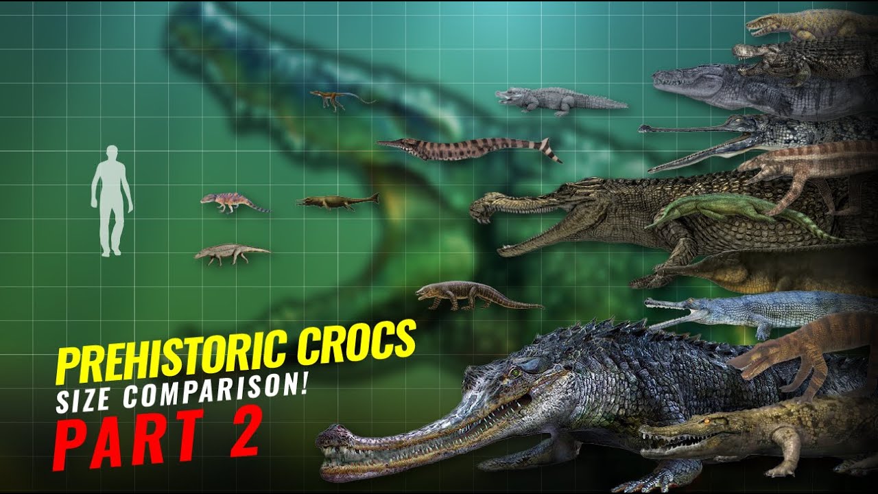 Prehistoric Crocodile Size Comparison - PART 2 - YouTube