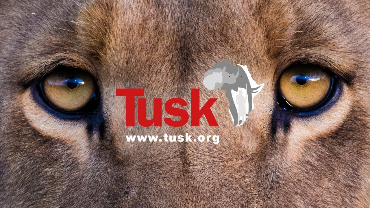 Introduction to Tusk - YouTube