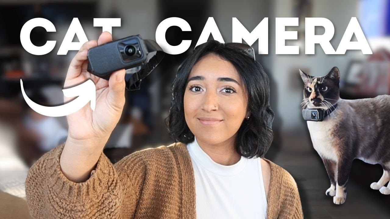 TRACKING MY CAT USING THIS SMALL CAMERA - YouTube
