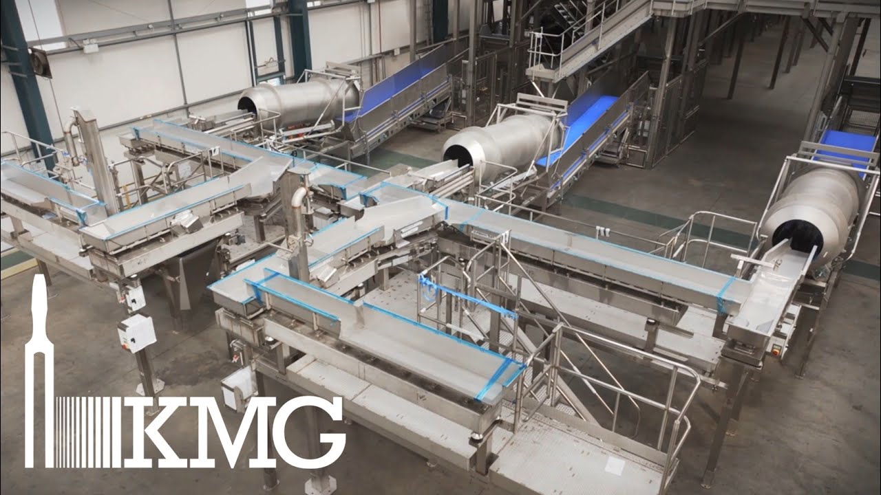 Vibratory Conveyor | Seasoning and Distribution Prebuild | KMG Systems ...
