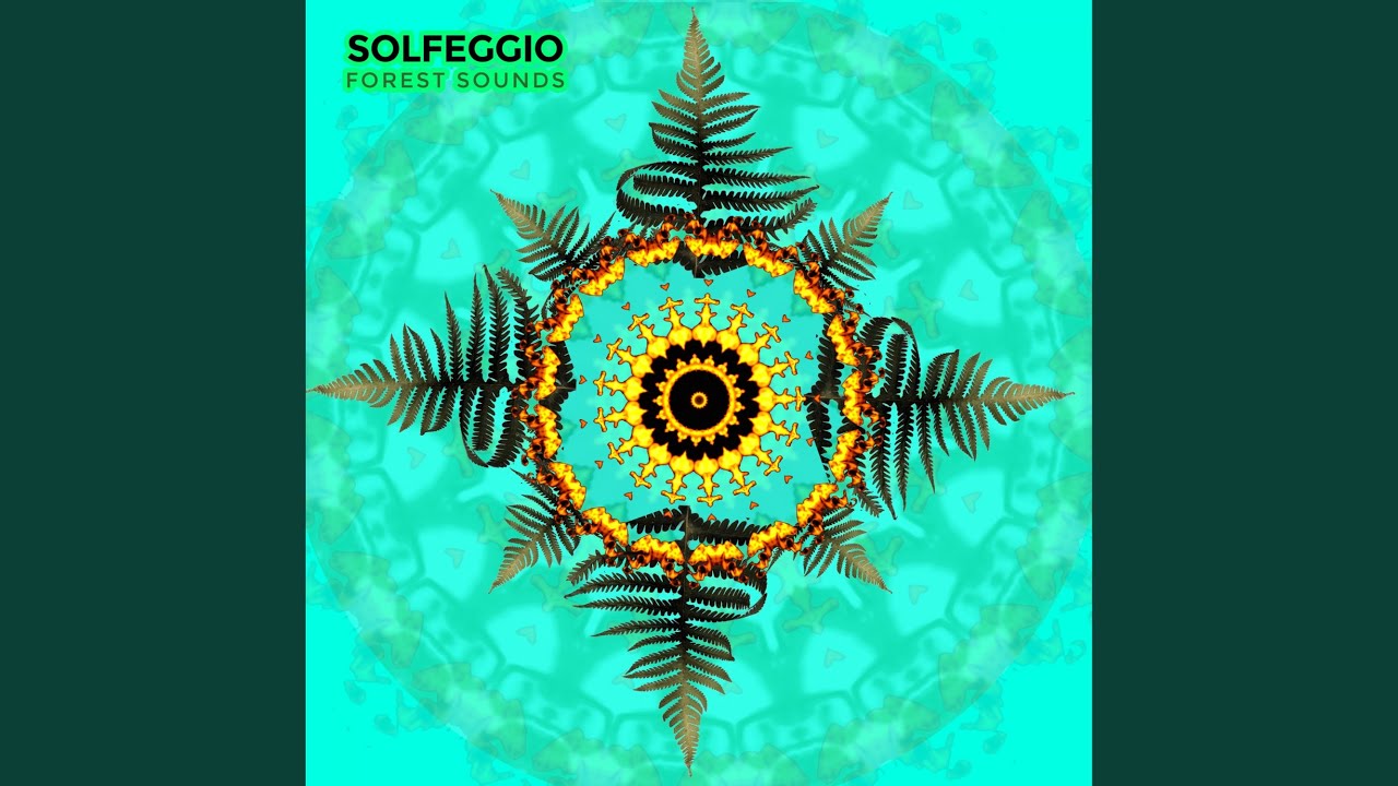 Solfeggio Monks Bowls & Rain Atmosphere - YouTube