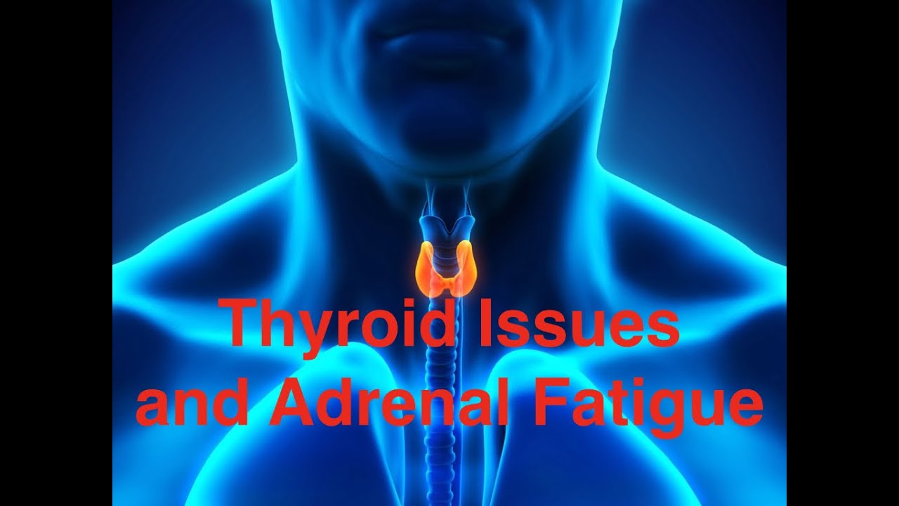Thyroid And Adrenal