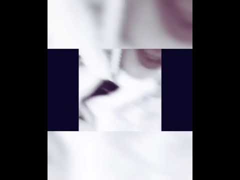 Bibiler A.Ş Part 1.