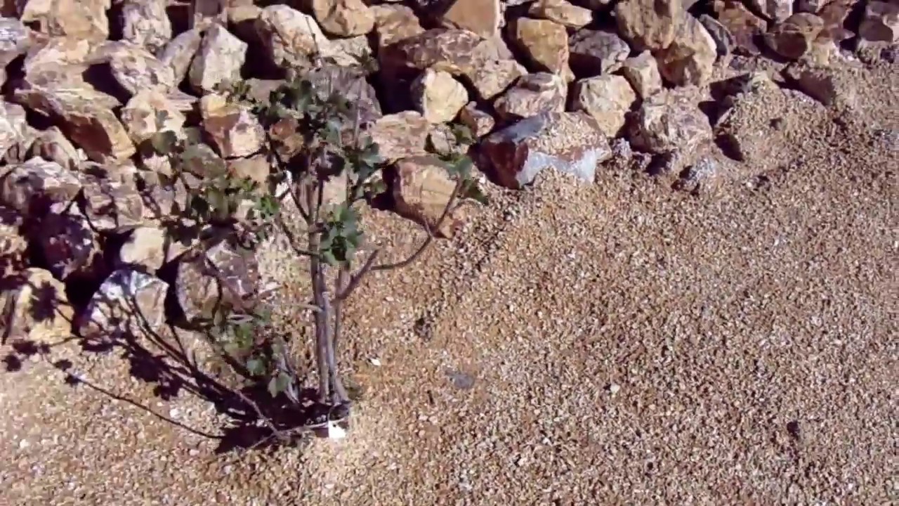 California Gold Rock Fines ( D.G. ) - YouTube