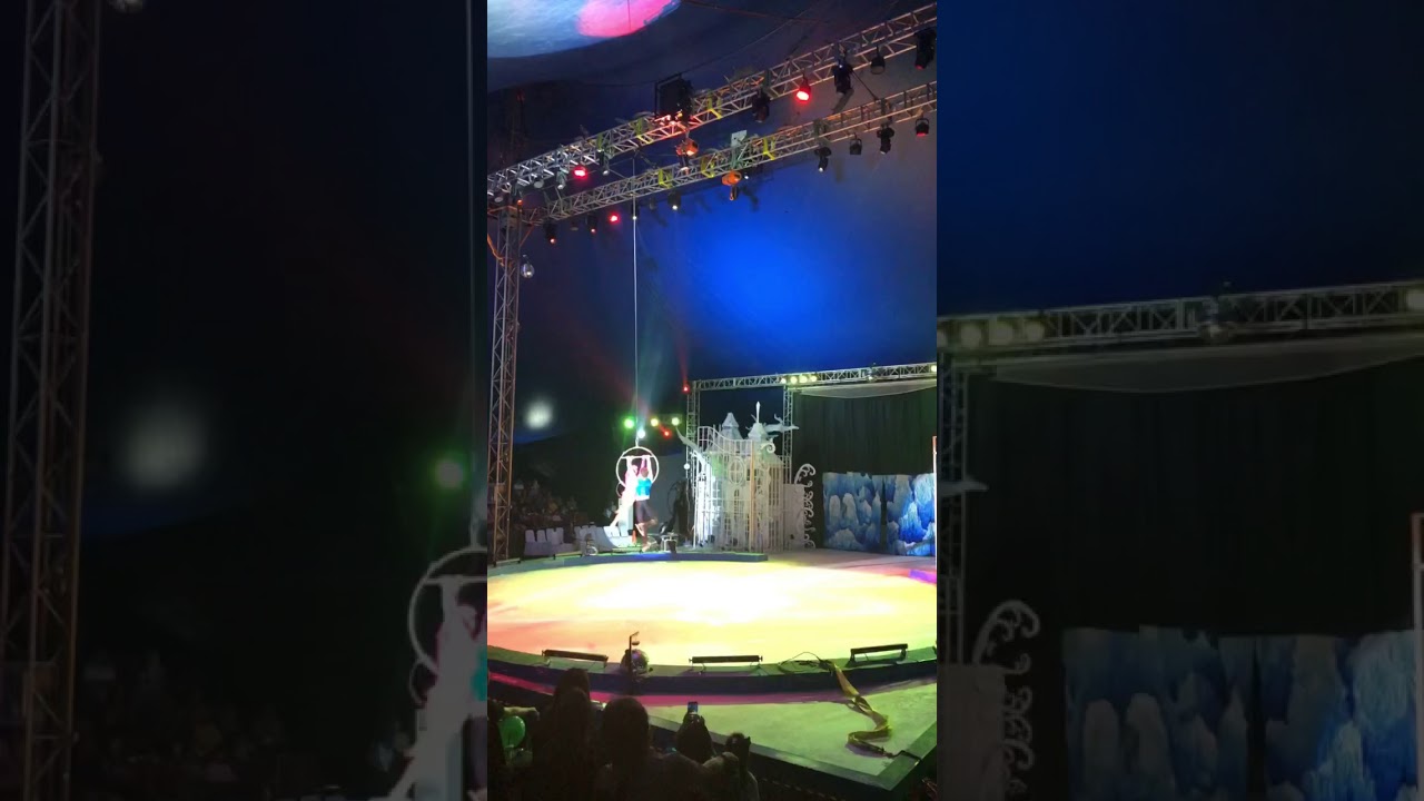 VIRAL BEST CIRCUS - YouTube