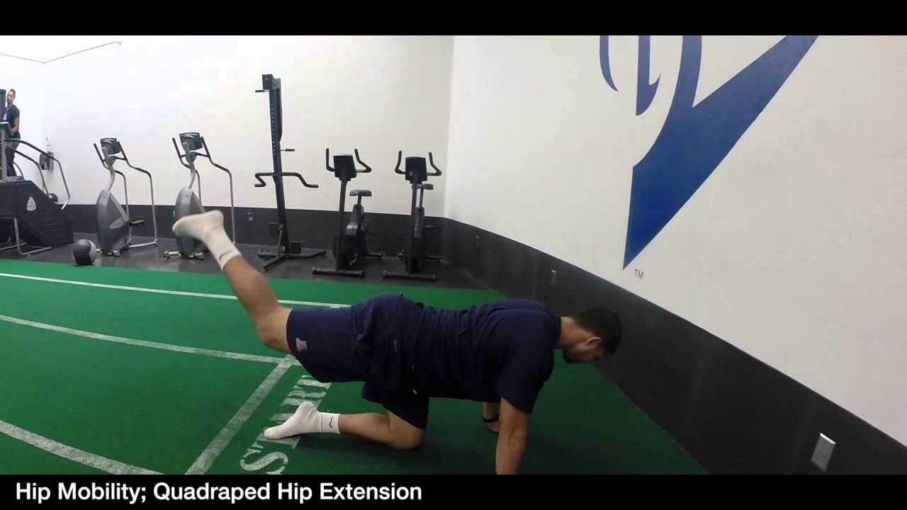 Hip Mobility; Quadraped Hip Extension - YouTube