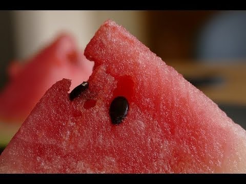 Bu videoyu İzledikten Sonra Karpuz Çekirdeğini ASLA Çöpe Atmak İstemeyeceksiniz.