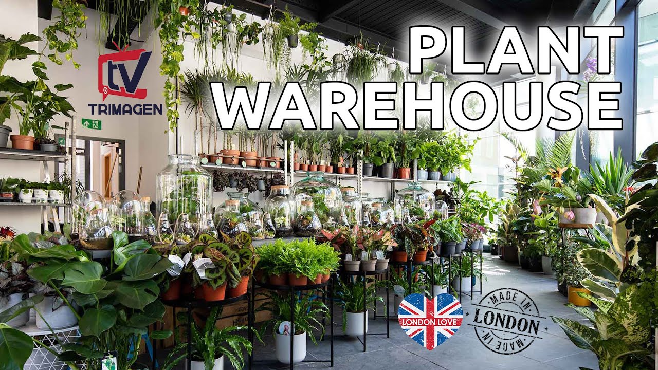Plant Warehouse Spitalfields Market London 2023 - YouTube