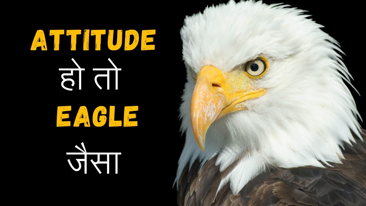 Eagle Attitude: How To Achieve Your Goals With Confidence - YouTube