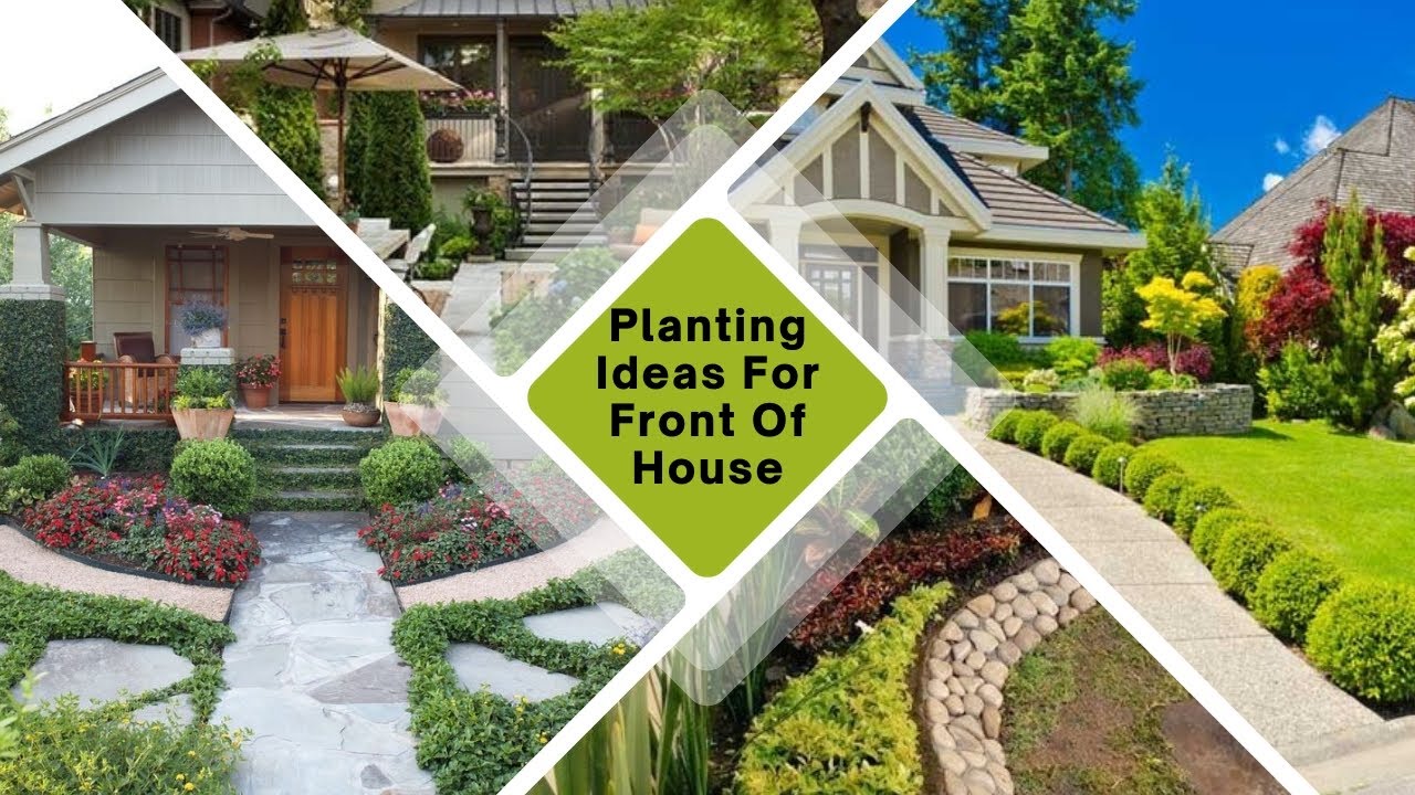 Transform Your Home's Exterior: Front Yard Planting Ideas for House ...