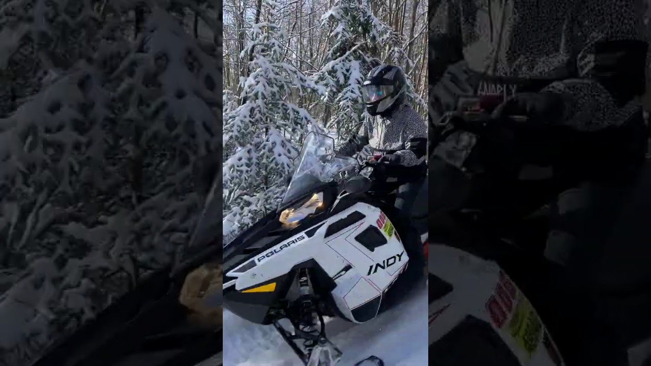 Woo hoo! Fresh snow! - YouTube