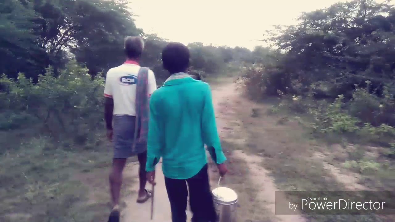 My she buffalo - YouTube