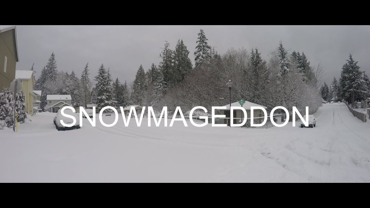 Snowmageddon 2019 - YouTube
