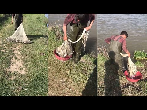 DERE BALIK KAYNIYOR (Serpme İle Balık Avı Van)