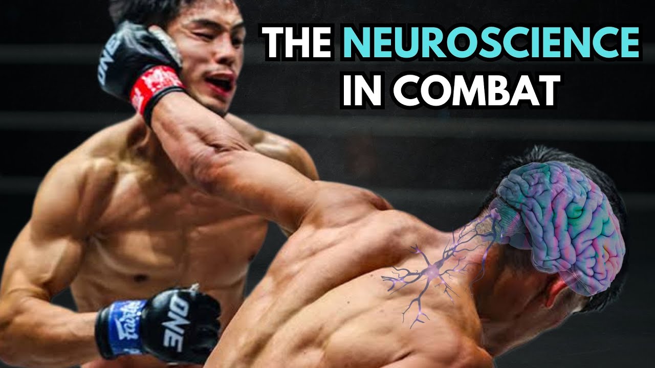 6 Neuroscience Concepts That Will Change How You See Fighting - YouTube